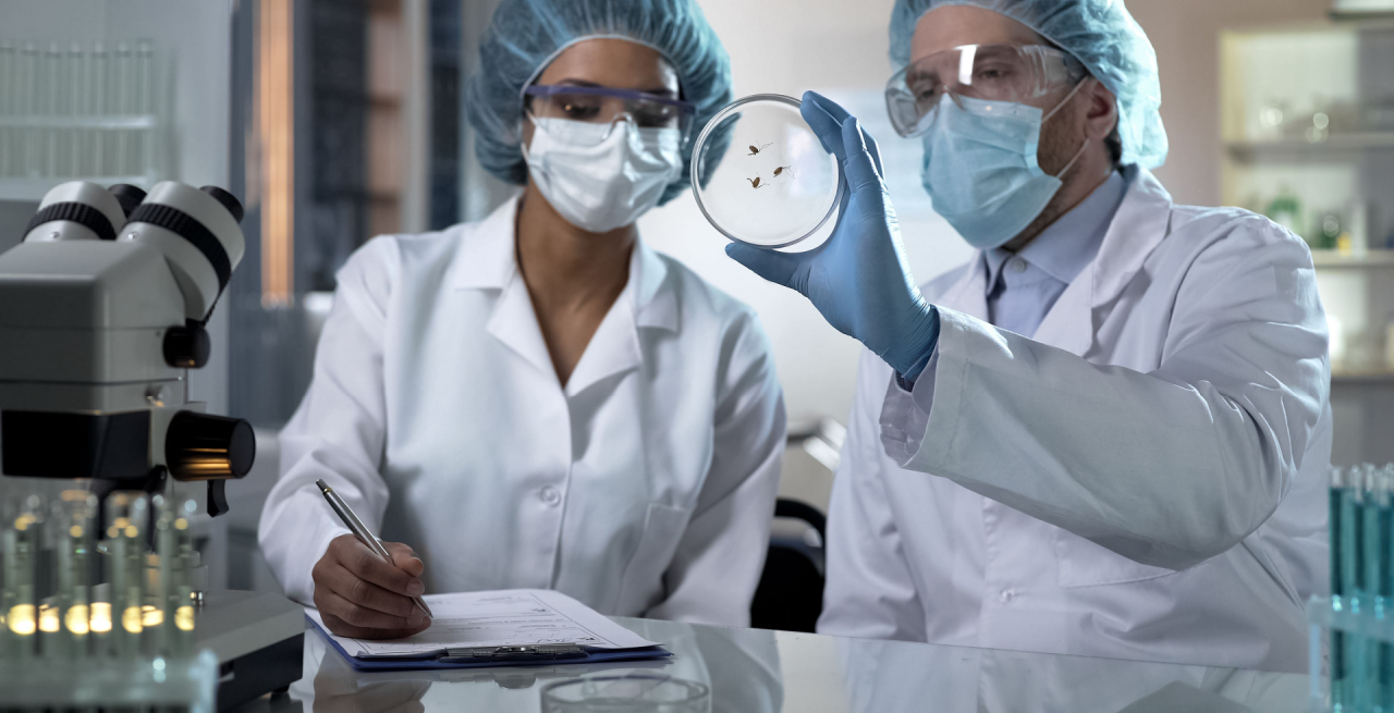 Insect Rearing Chambers | IN023 Budget-Friendly Solution | Insect ...